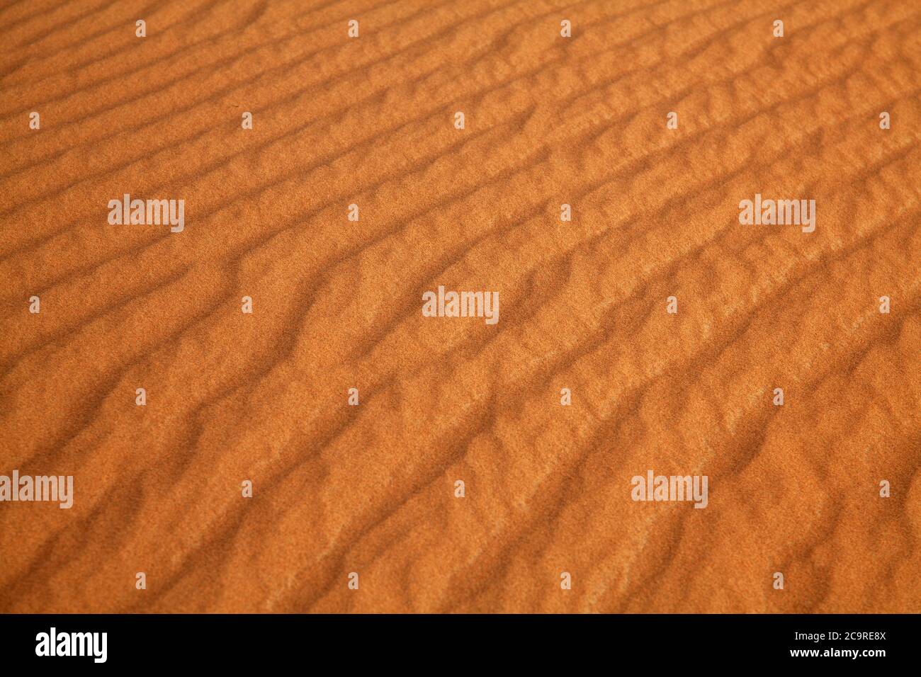 Red sand "Arabian desert" near Riyadh, Saudi Arabia Stock Photo - Alamy