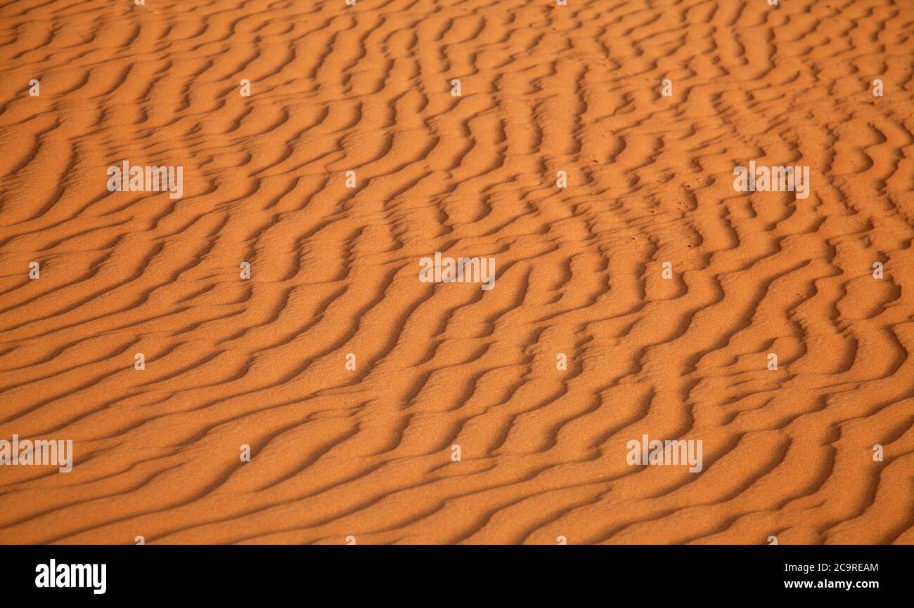 Red sand "Arabian desert" near Riyadh, Saudi Arabia Stock Photo - Alamy