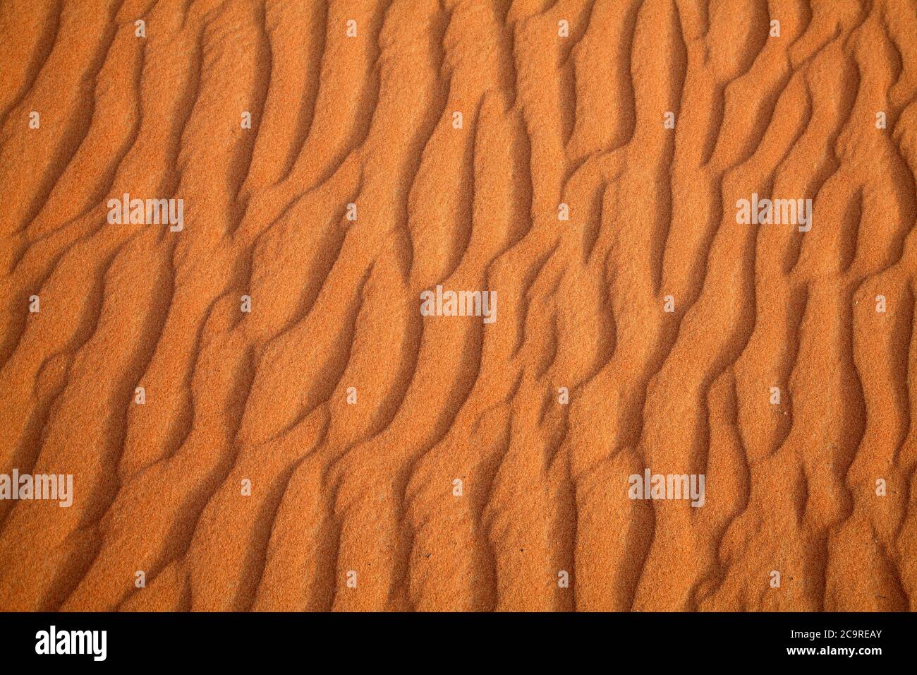 Red sand "Arabian desert" near Riyadh, Saudi Arabia Stock Photo - Alamy