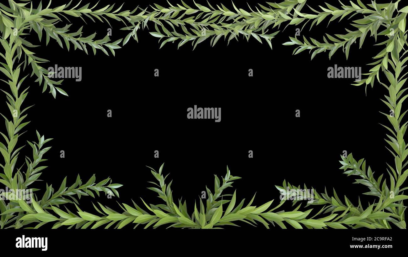 Frame covered with leaves. 3D rendering Stock Photo - Alamy