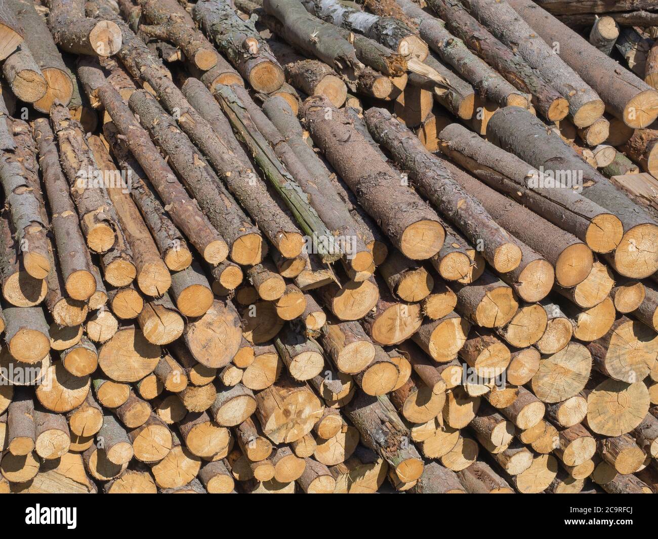 Pile of chopped wooden logs, raw timber, natural background Stock Photo ...