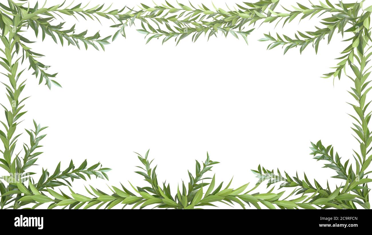 Frame covered with leaves. 3D rendering Stock Photo - Alamy