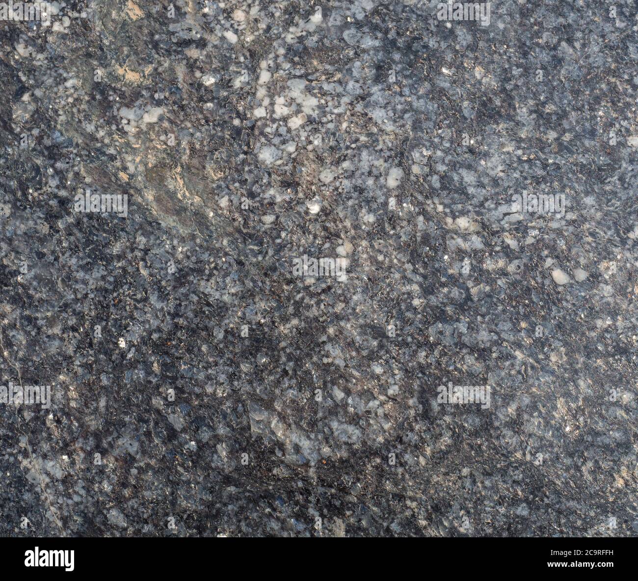 silver gray polished Migmatite with white grains stone natural abstract ...