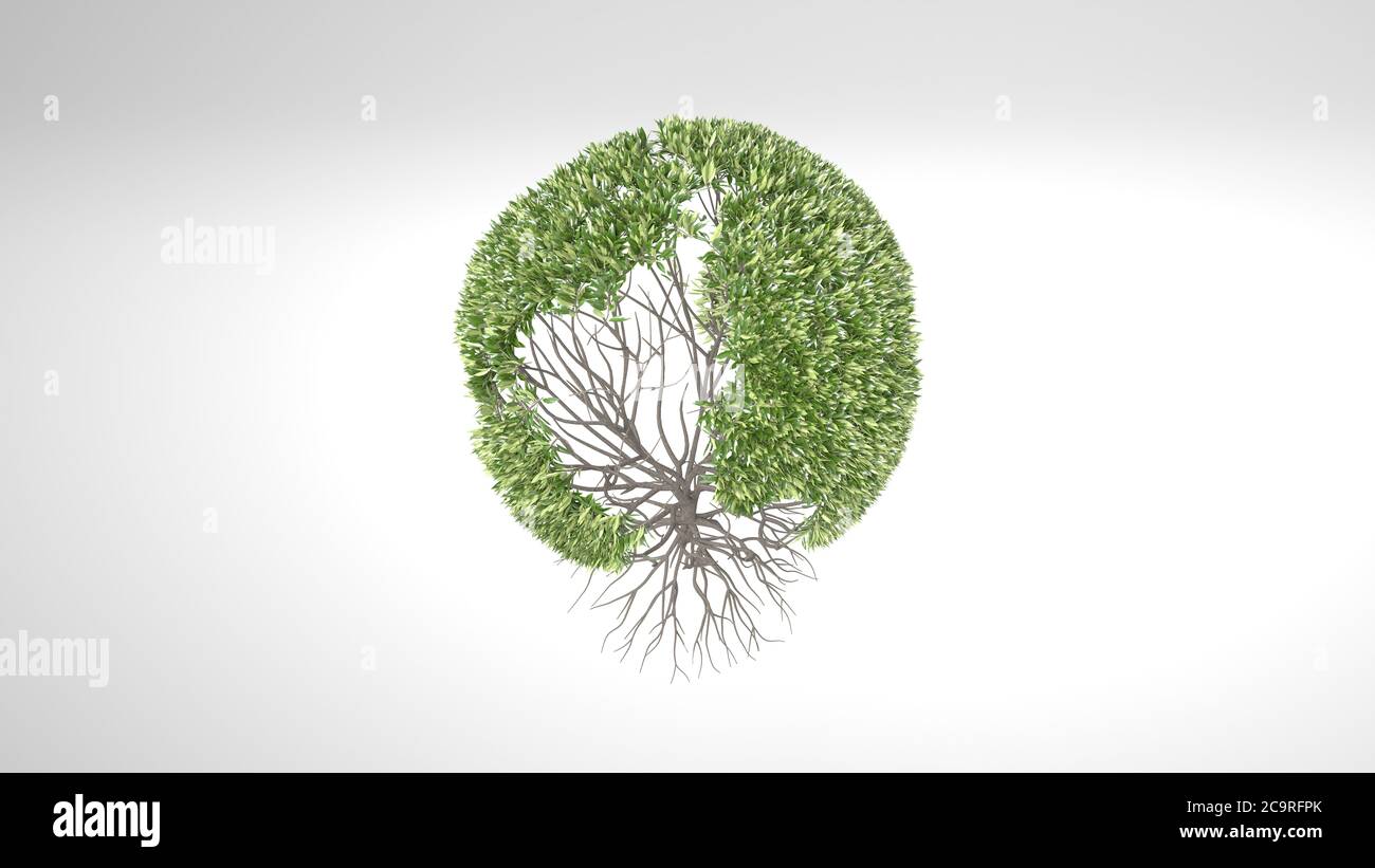 Growing tree, forming globe shape with leaves. Earth tree concept ...