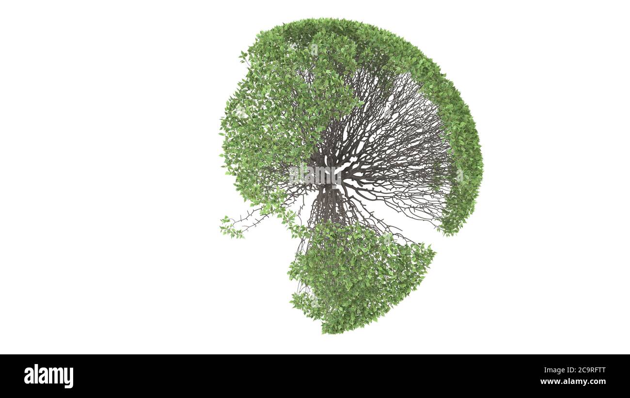 Growing tree, forming globe shape with leaves. Earth tree concept ...