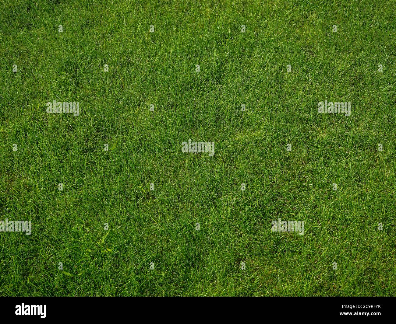 Texturegrass hi-res stock photography and images - Alamy