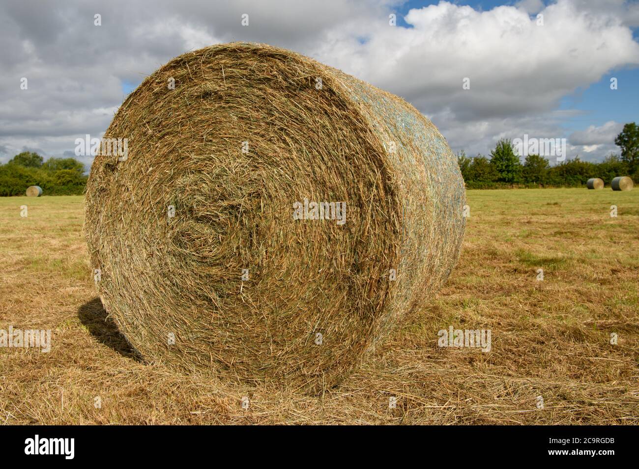 Hay bail harvesting in field hi-res stock photography and images - Alamy