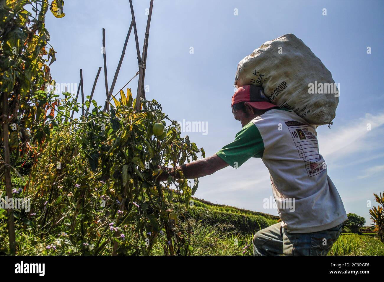 Farmer carrying a sack hi-res stock photography and images - Alamy