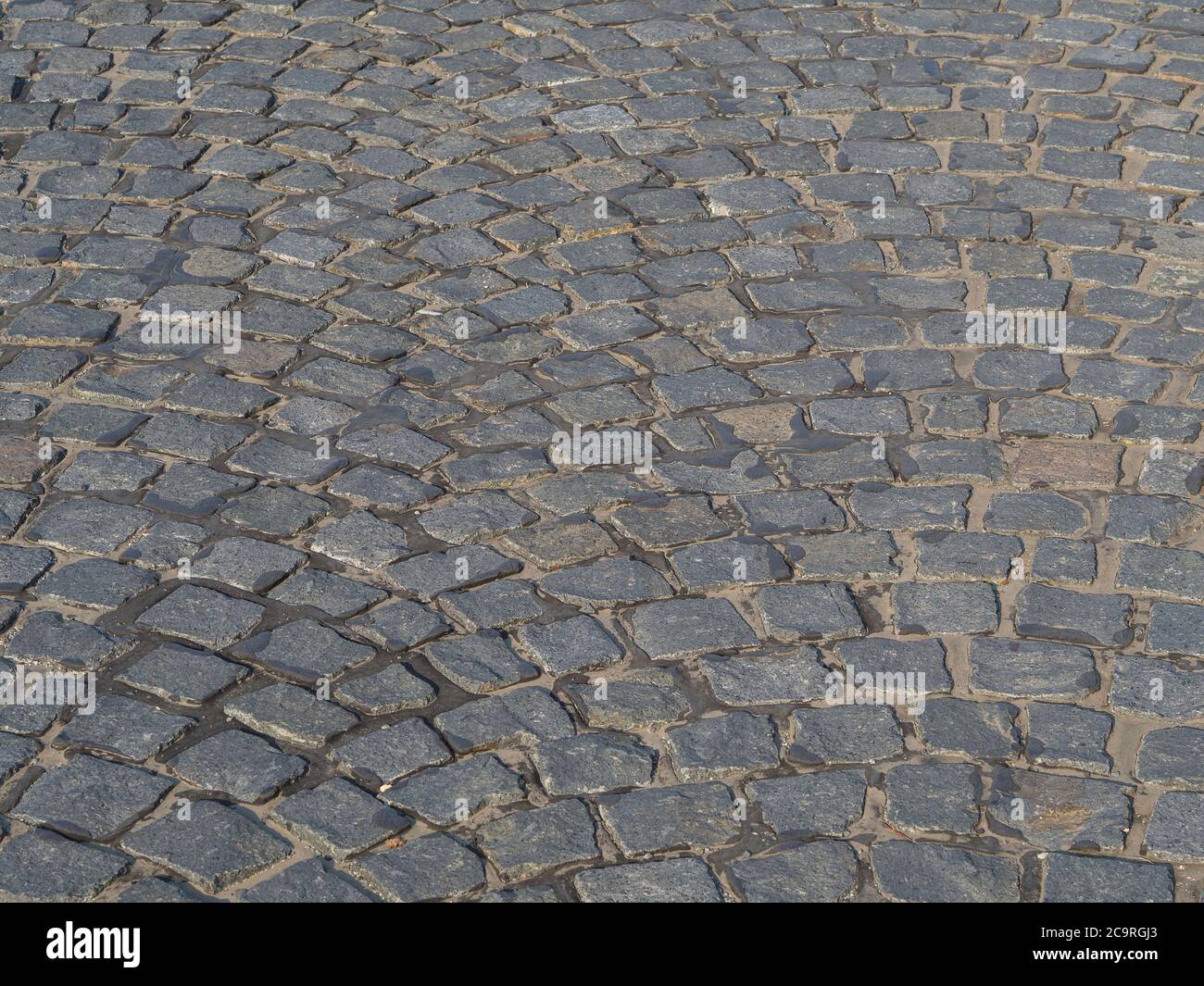 Prague cobblestone gray paving stone square Stock Photo - Alamy