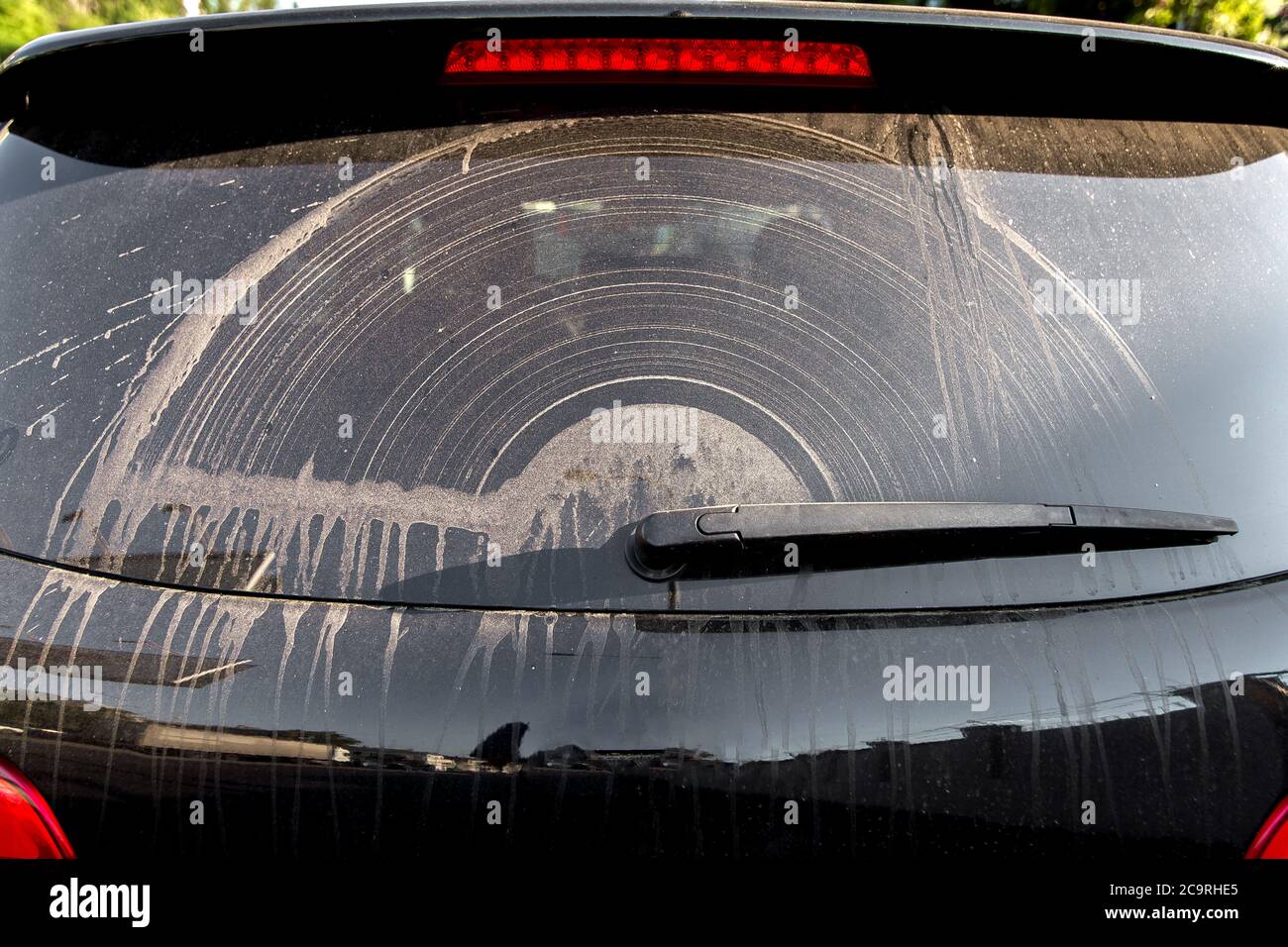 The Dirty Back Window Of An Automobile in drips of dirt and pouryty ...