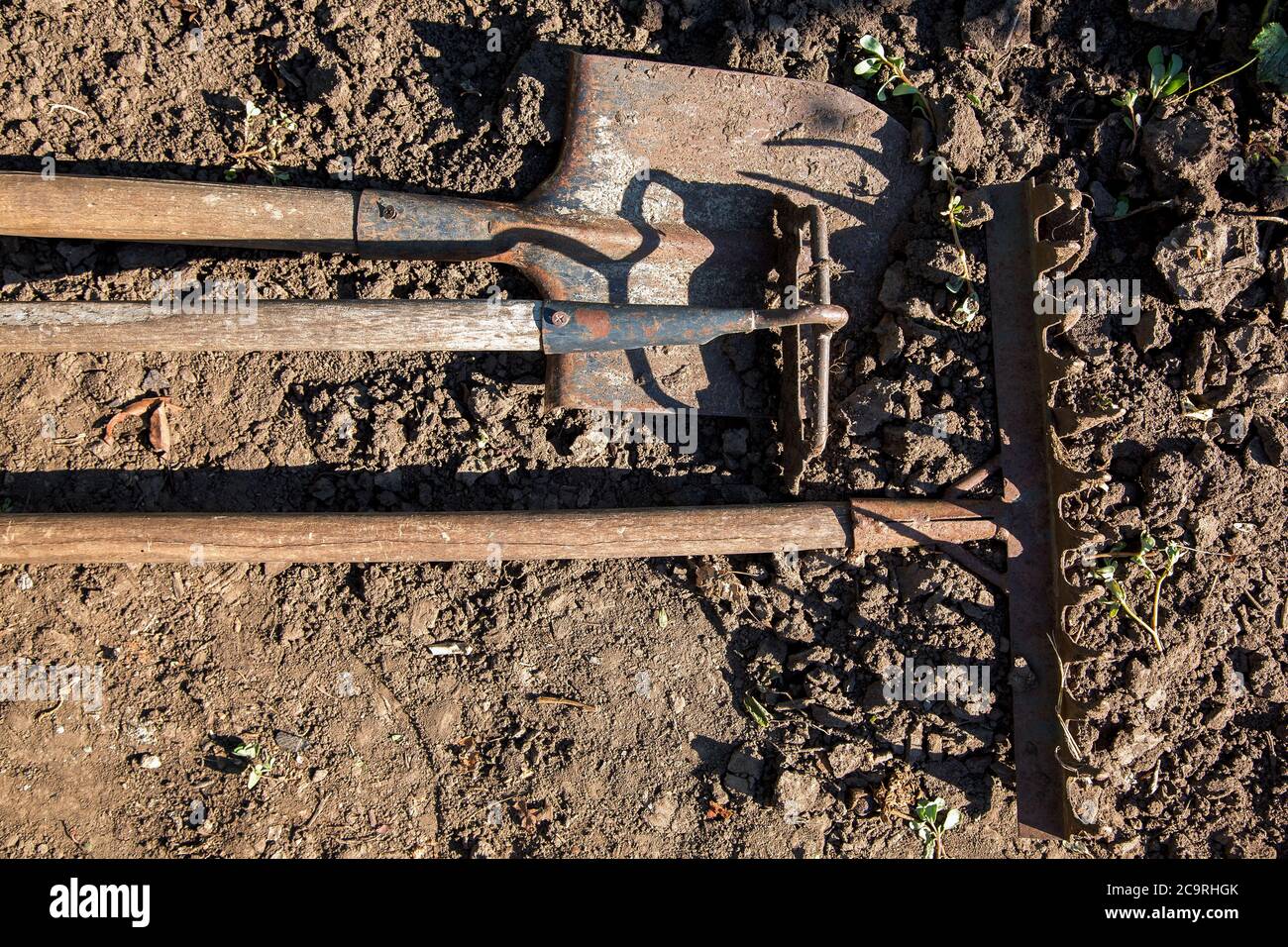 The tool for processing of soil in agriculture. On the wooden handle ...