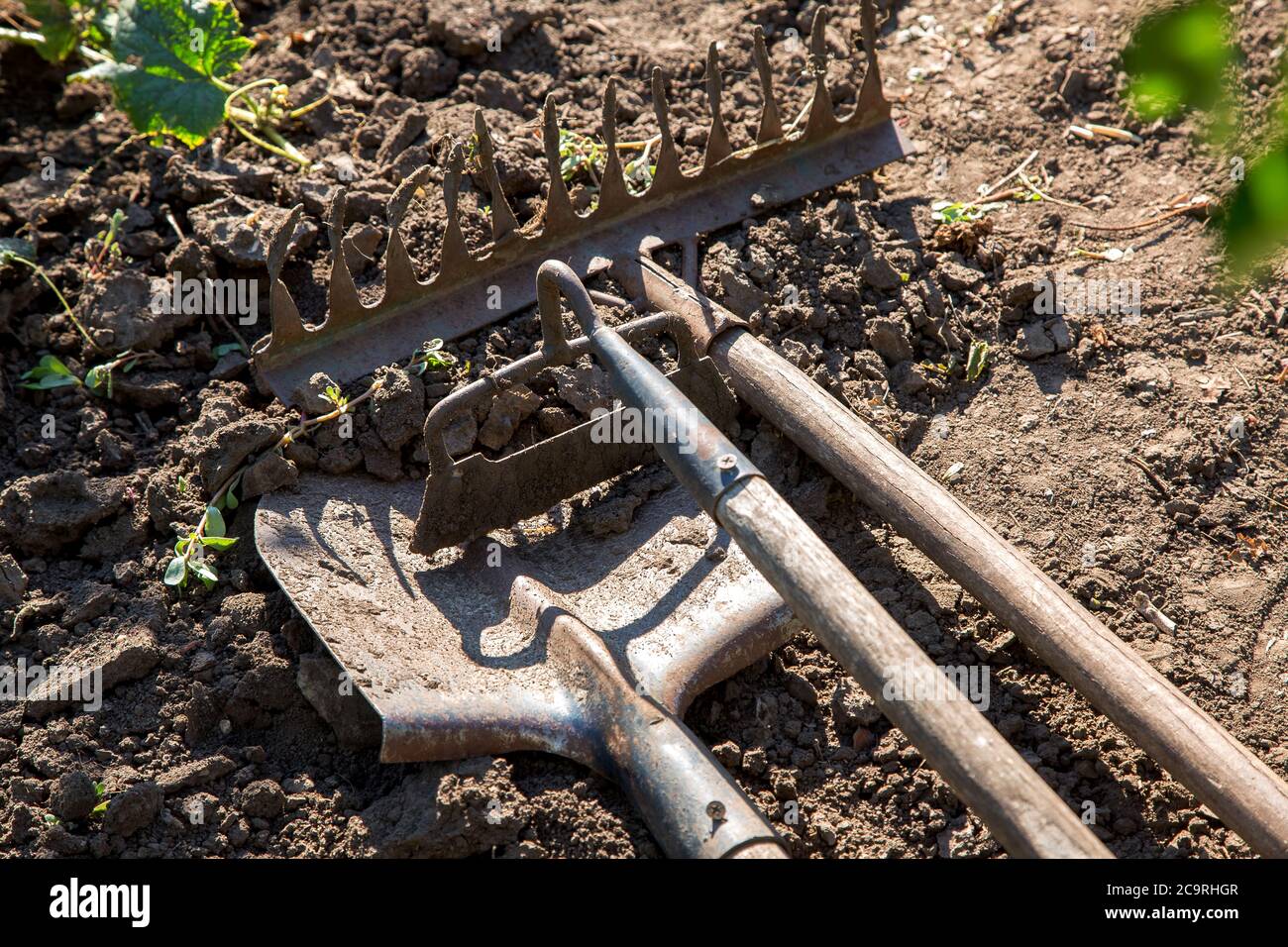 The tool for processing of soil in agriculture. On the wooden handle ...