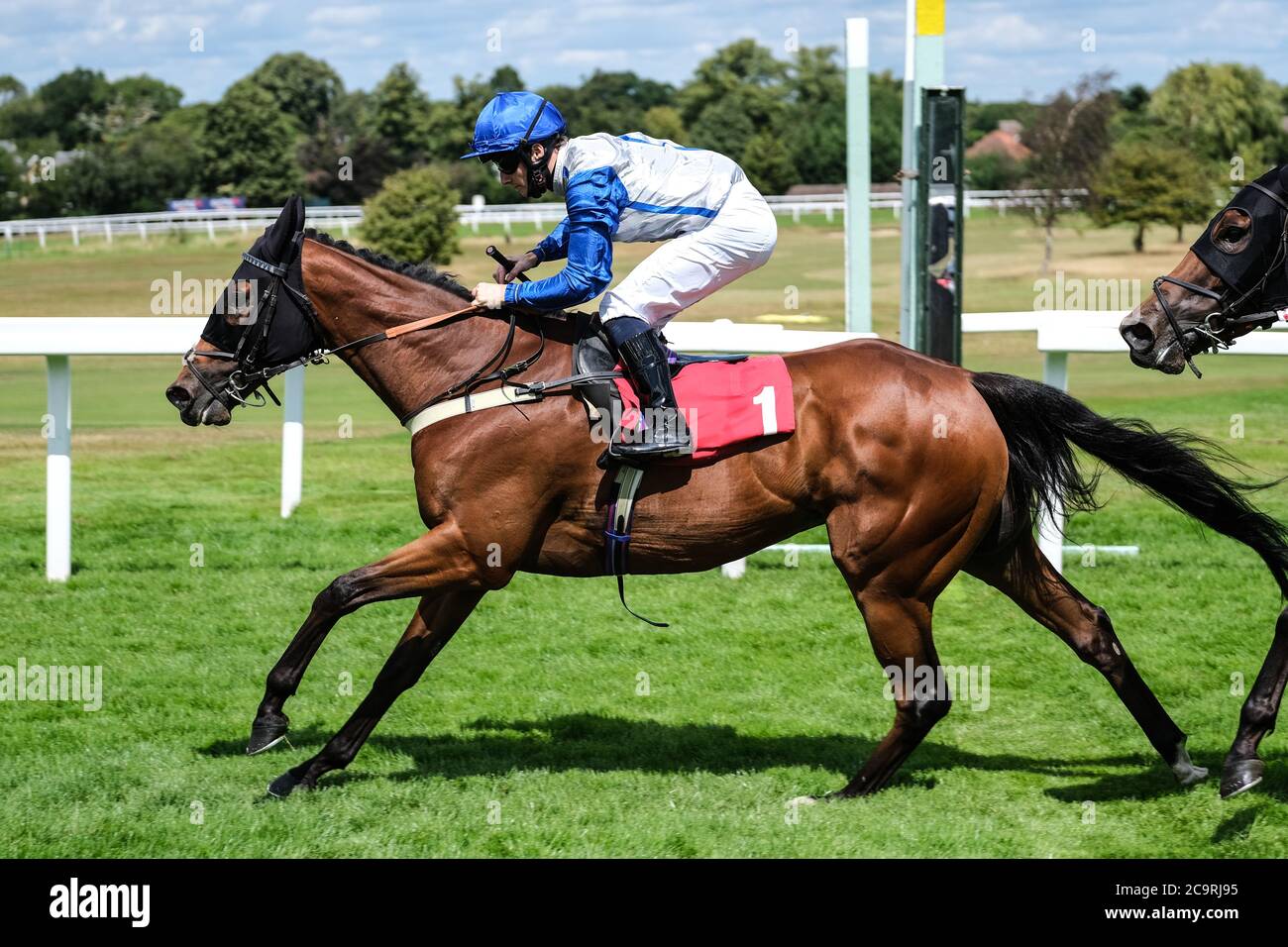 Adam McNamara on board Seneca Chief winning the Claygate Handicap at ...