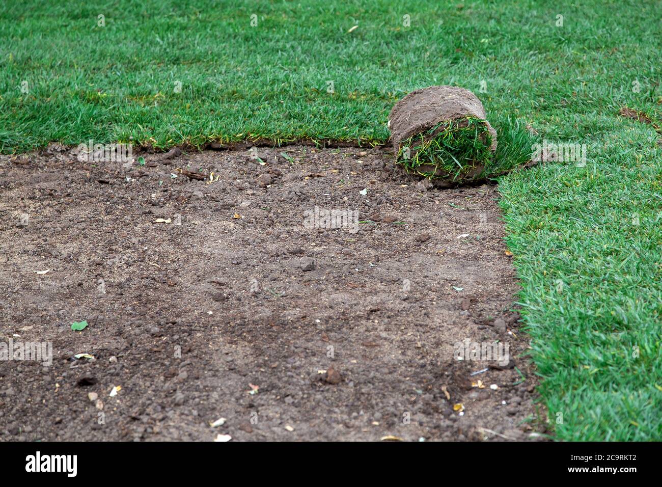 roll a lawn lay on the ground landscaping glades in the backyard ...
