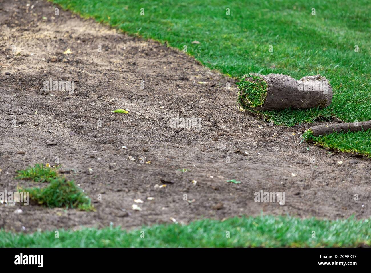 installation of a rolled lawn on prepared soil landscaping the lawn in ...