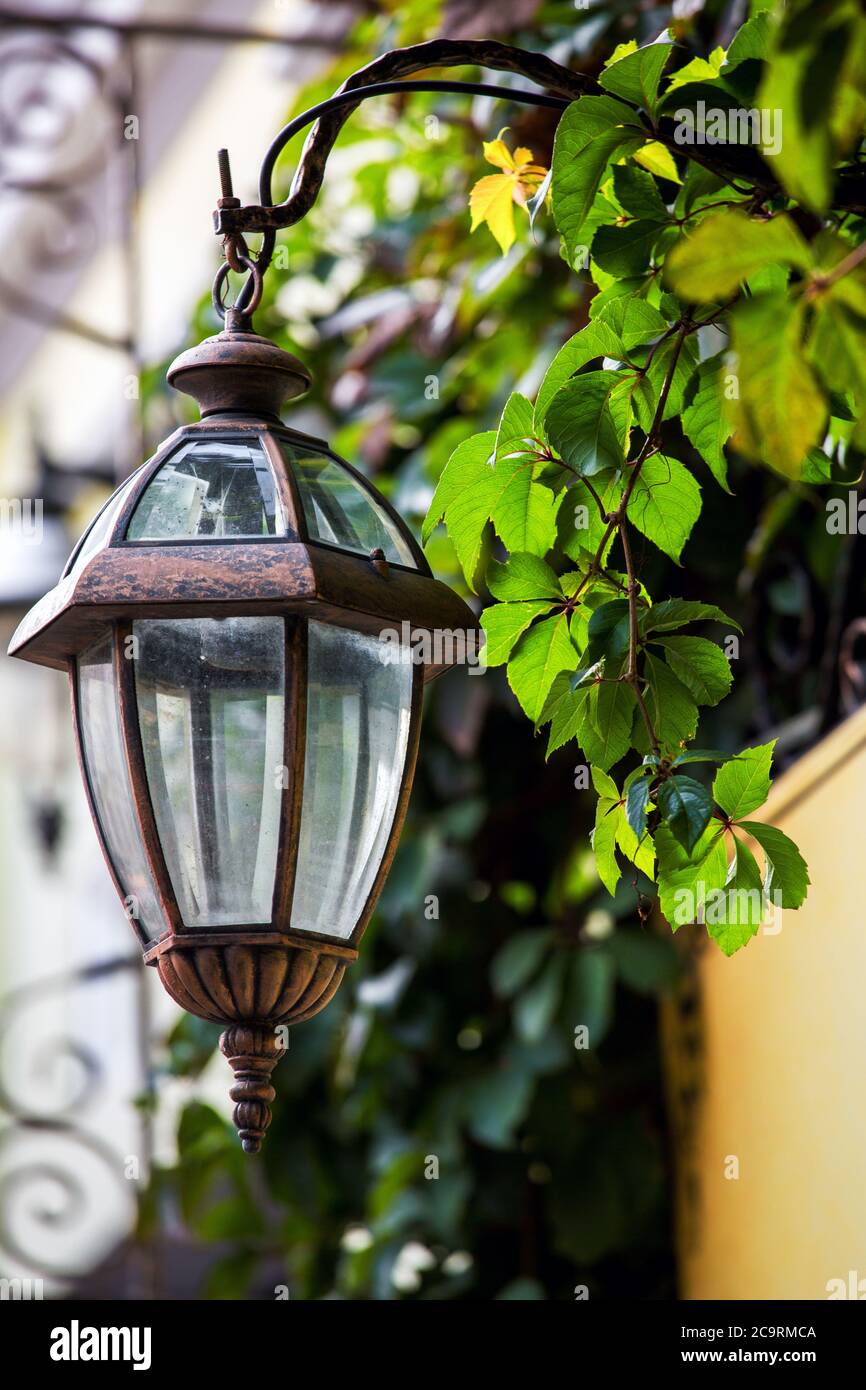 Lamp street lighting in green leaves, the metal case with glass windows ...