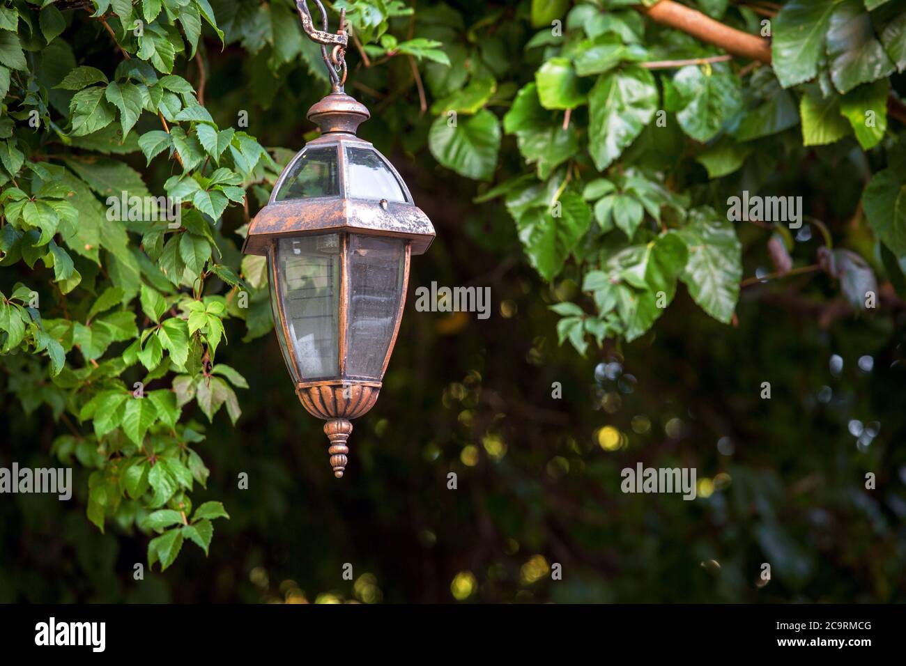 Lamp street lighting in green leaves, the metal case with glass windows ...