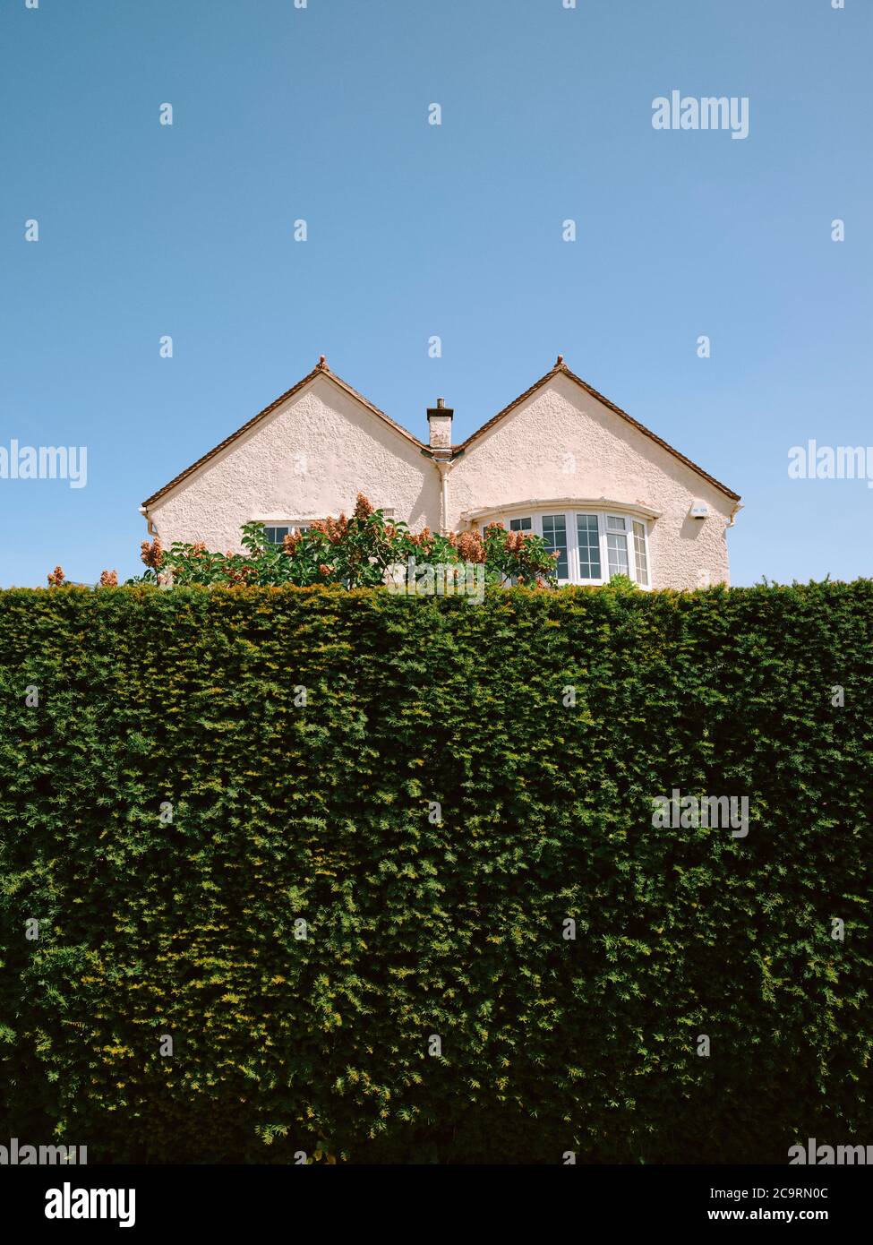 High Hedge High Resolution Stock Photography and Images - Alamy