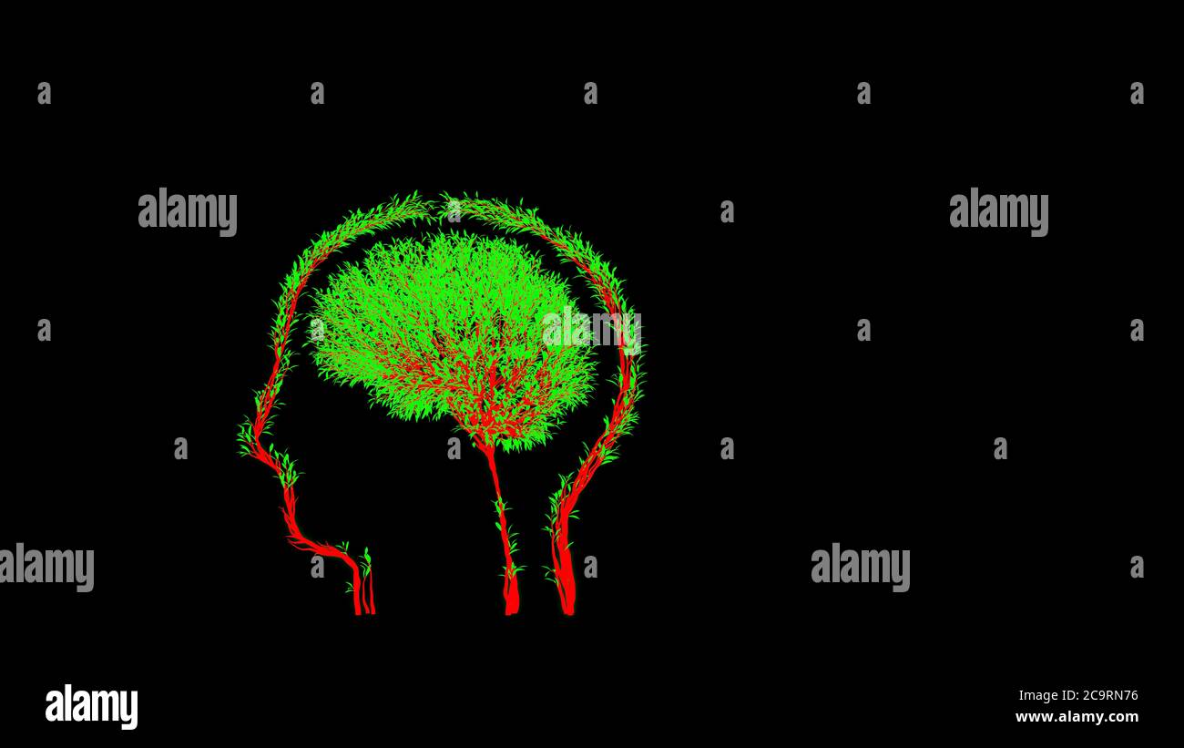 Growing Tree in a shape of human brain inside a head. Eco Concept. 3D ...