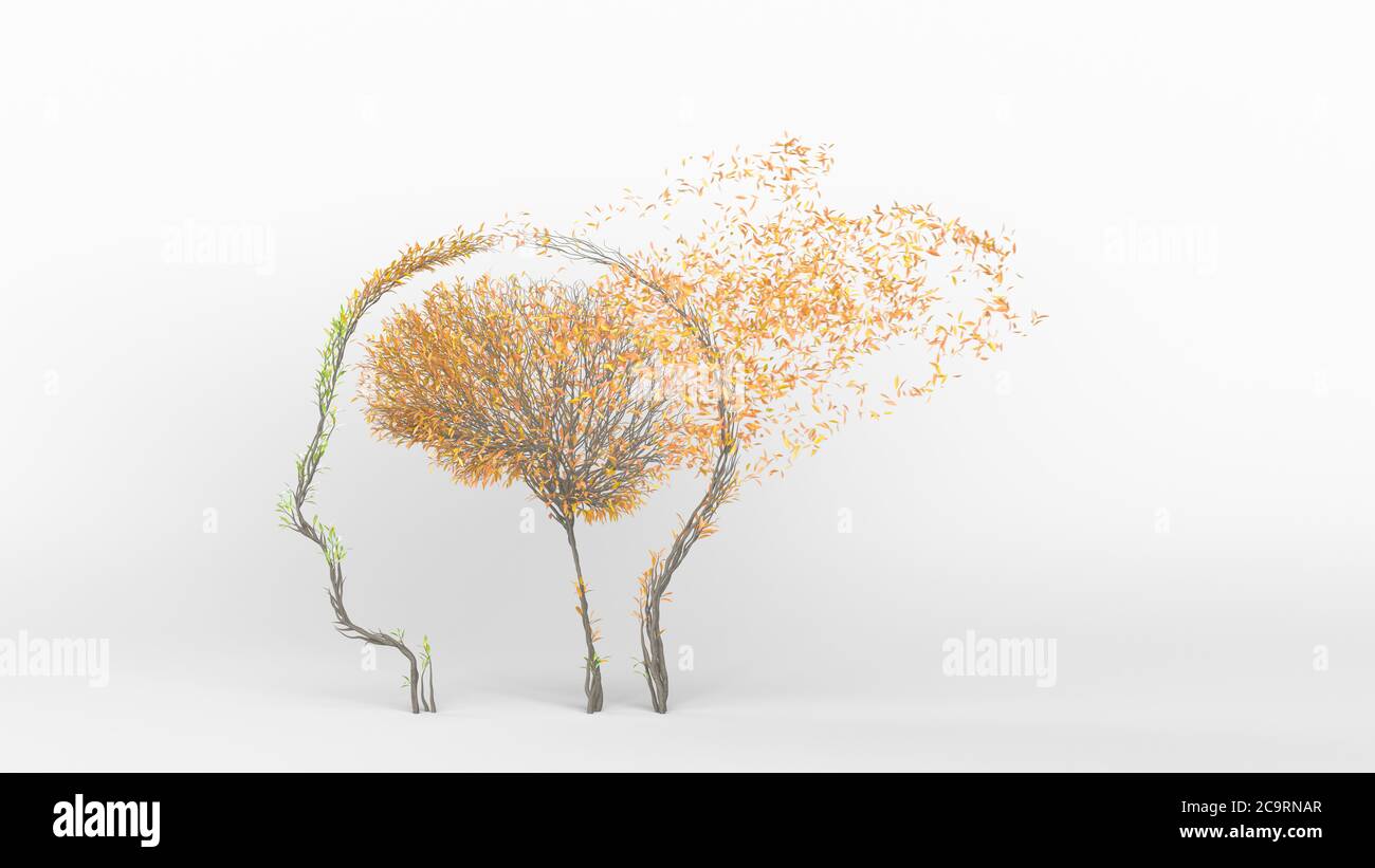Brain tree concept tree growing hi-res stock photography and images - Alamy