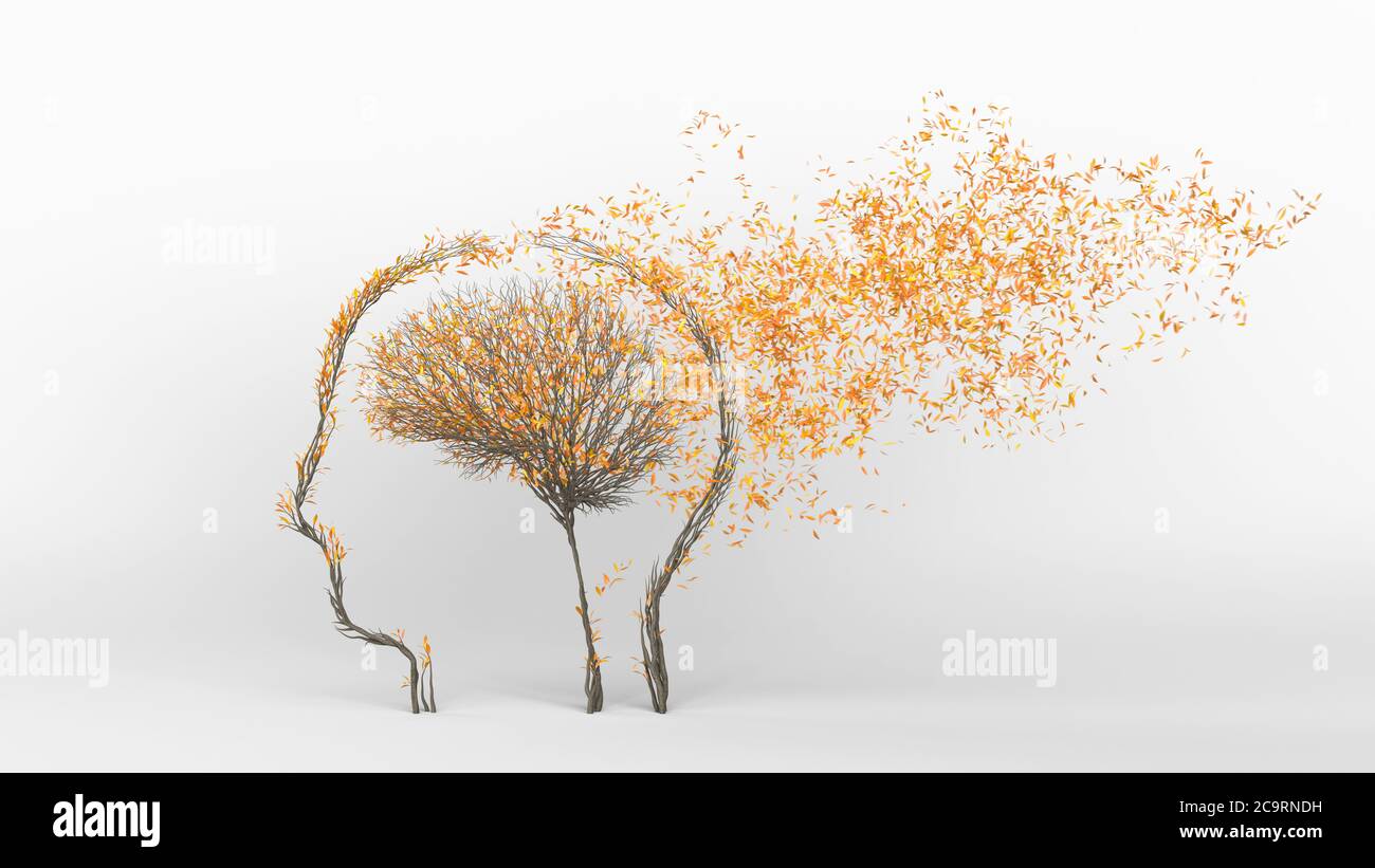 Growing Tree in a shape of human brain inside a head. Eco Concept. 3D ...
