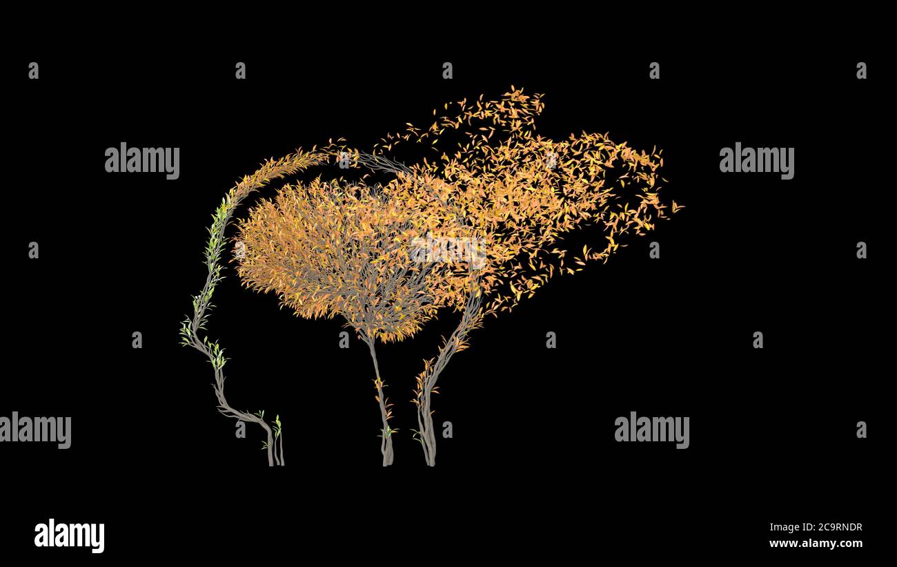 Growing Tree in a shape of human brain inside a head. Eco Concept. 3D ...