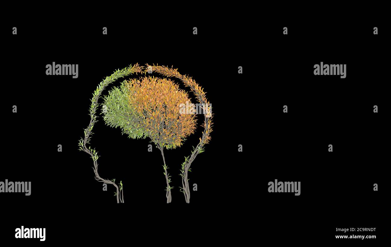 Growing Tree in a shape of human brain inside a head. Eco Concept. 3D ...