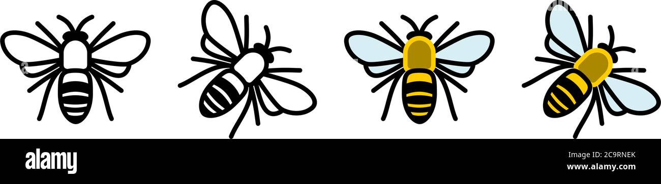Bee icon, top view, black and coloured version Stock Vector Image & Art ...