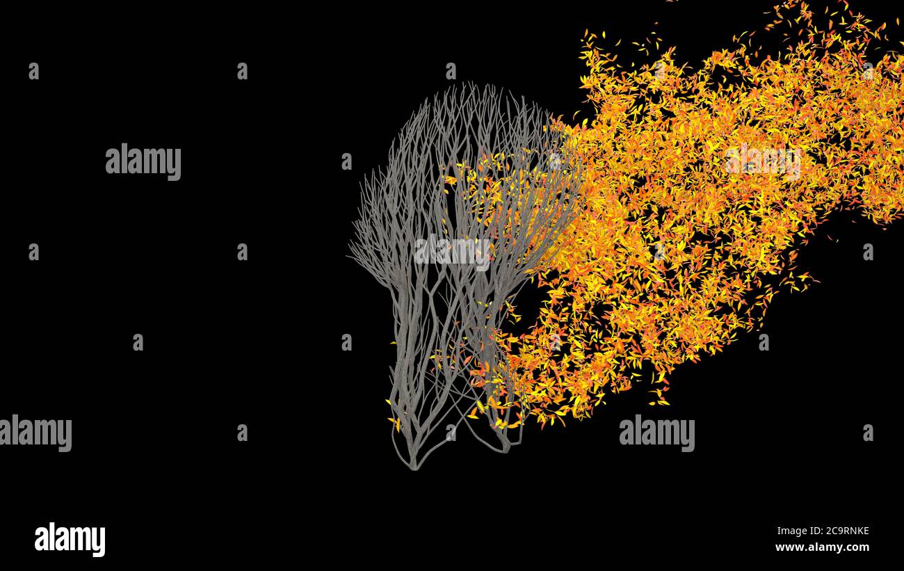 Growing Tree in a shape of Head. Eco Concept. Medical Concept. 3D ...