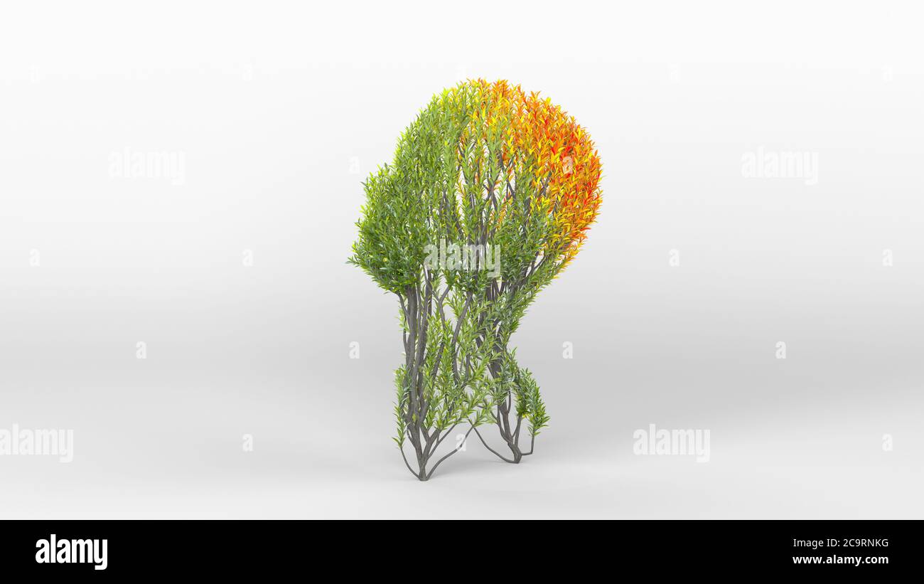 Growing Tree in a shape of Head. Eco Concept. Medical Concept. 3D ...
