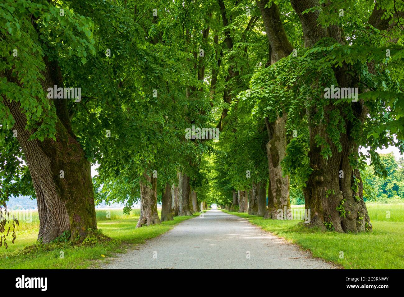 Tranquility spiritual hi-res stock photography and images - Alamy