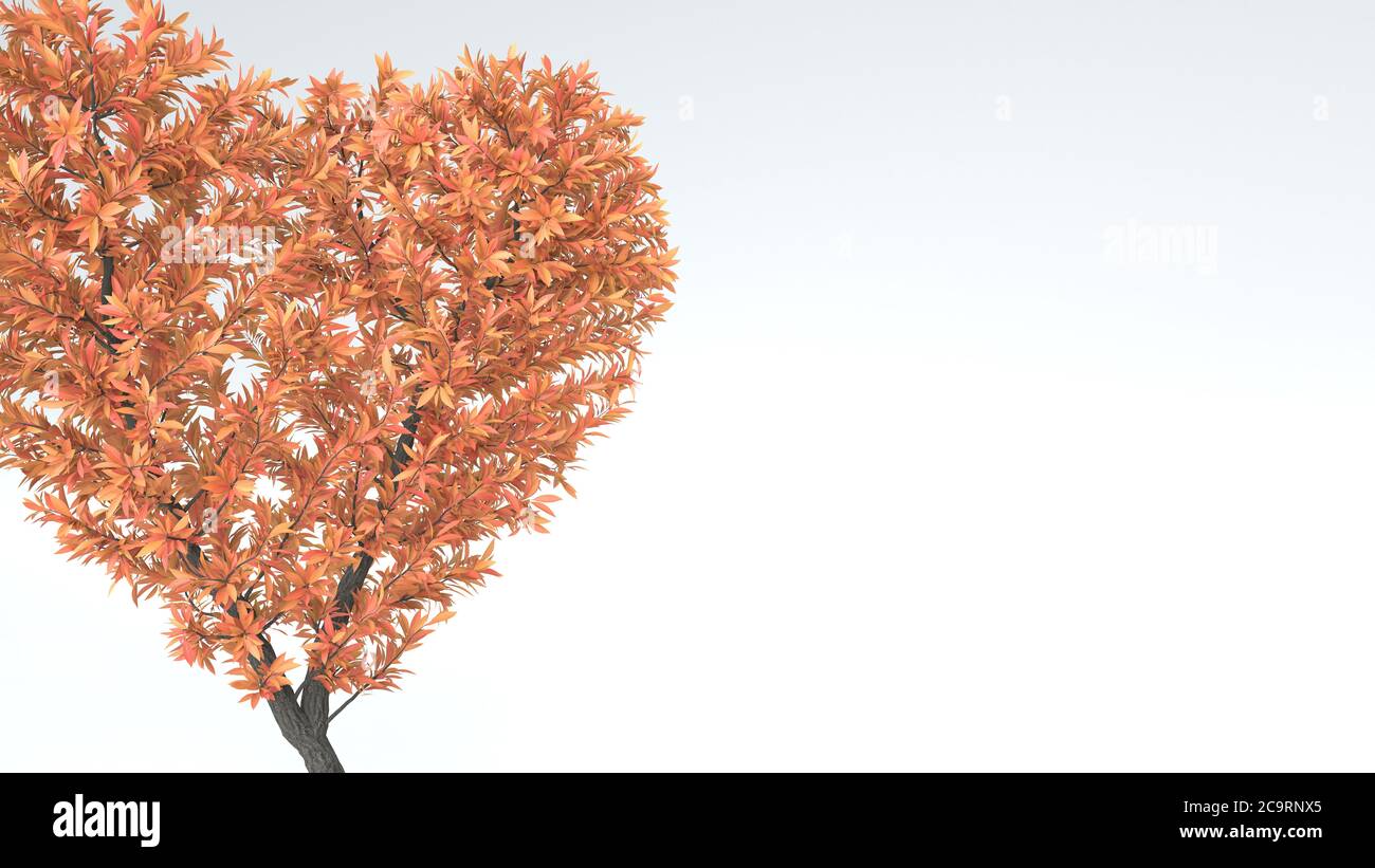 Growing Tree in a shape of Heart. 3D rendering Stock Photo - Alamy