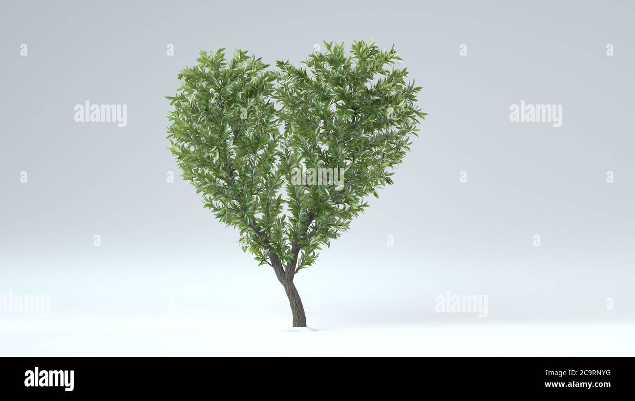 Growing Tree in a shape of Heart. 3D rendering Stock Photo - Alamy