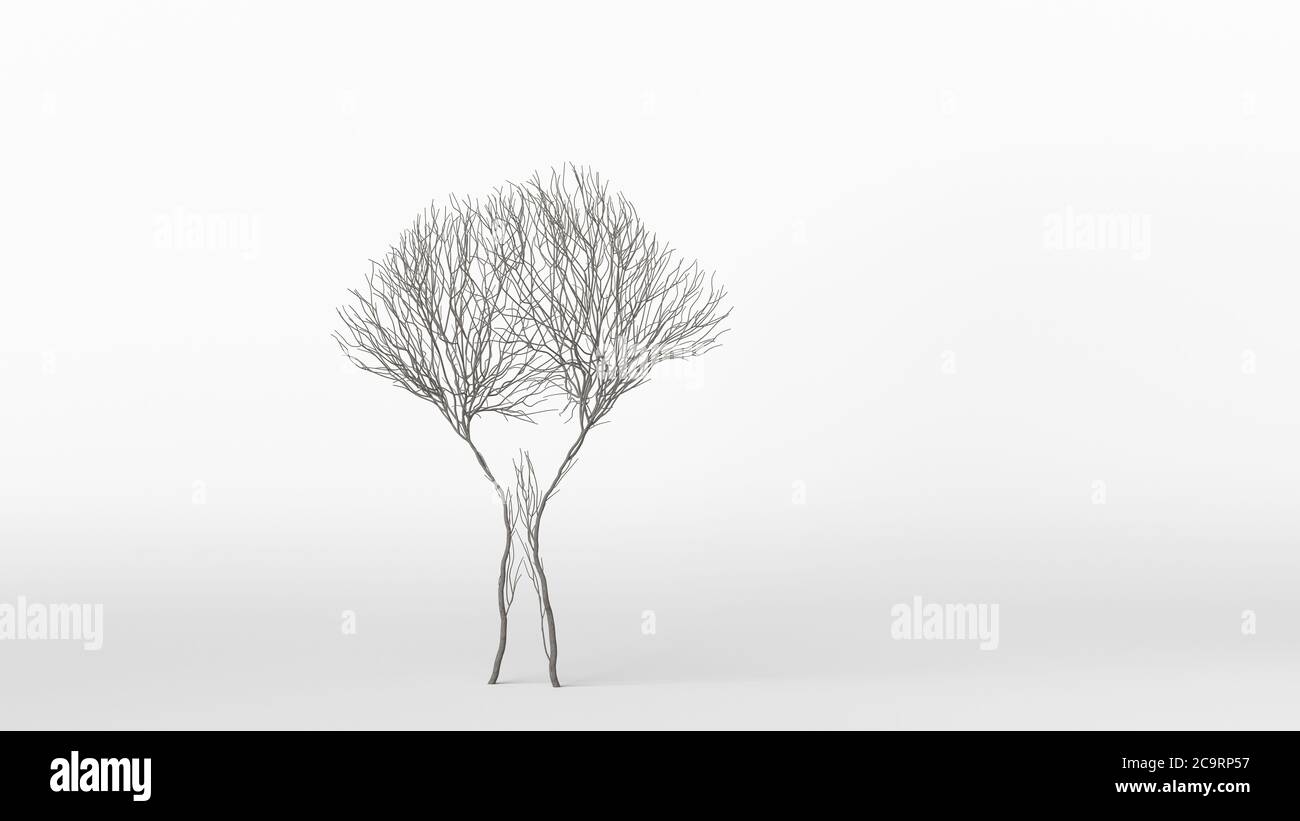 Growing Tree in a shape of Human. Eco Concept. 3D rendering Stock Photo ...