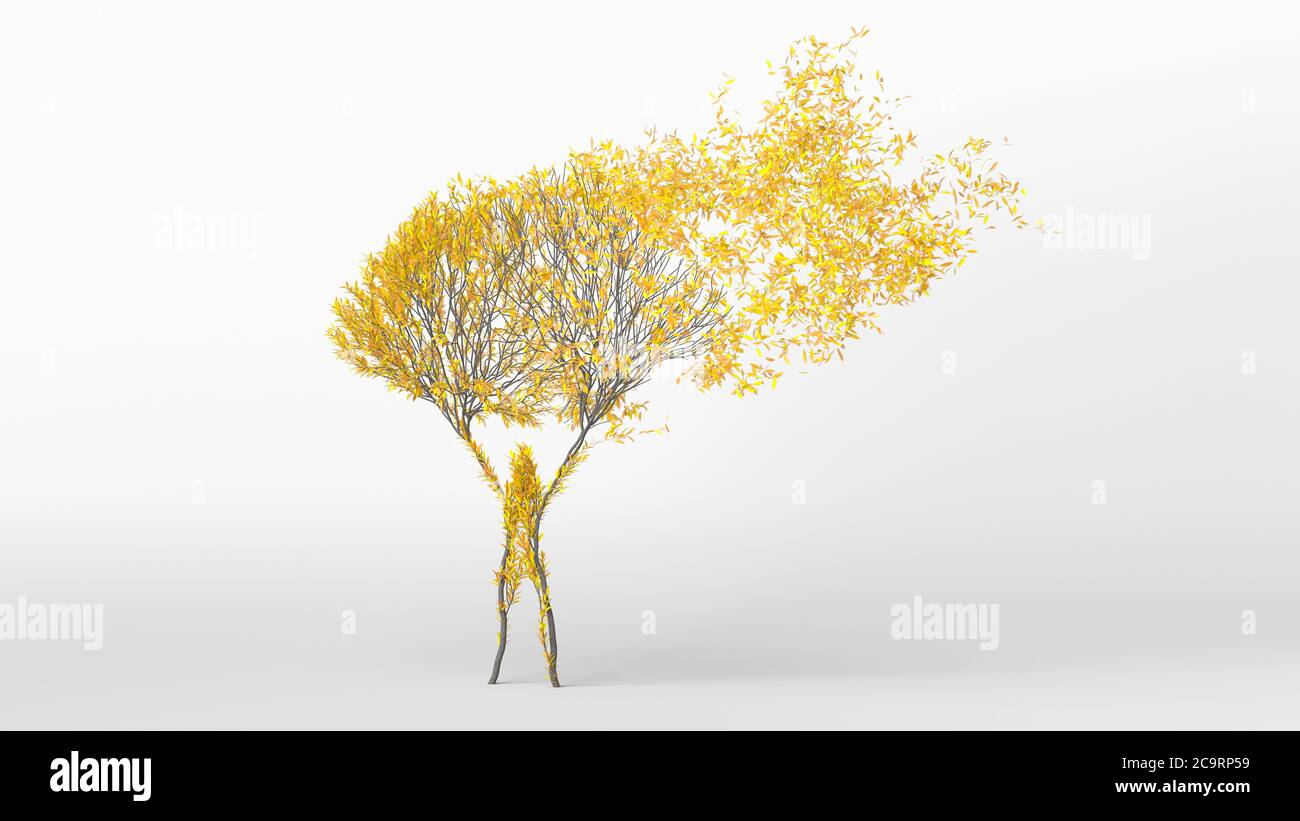 Growing Tree in a shape of Human. Eco Concept. 3D rendering Stock Photo ...