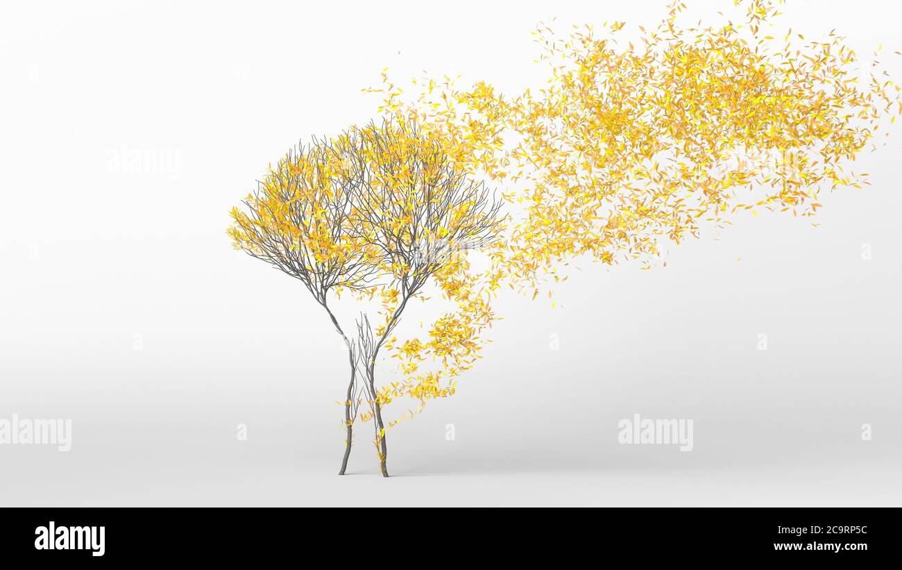 Growing Tree in a shape of Human. Eco Concept. 3D rendering Stock Photo ...
