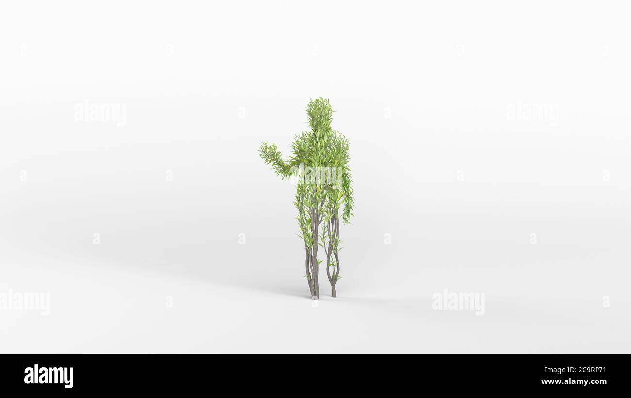 Growing Tree in a shape of a Human. Eco Concept. 3D rendering Stock ...