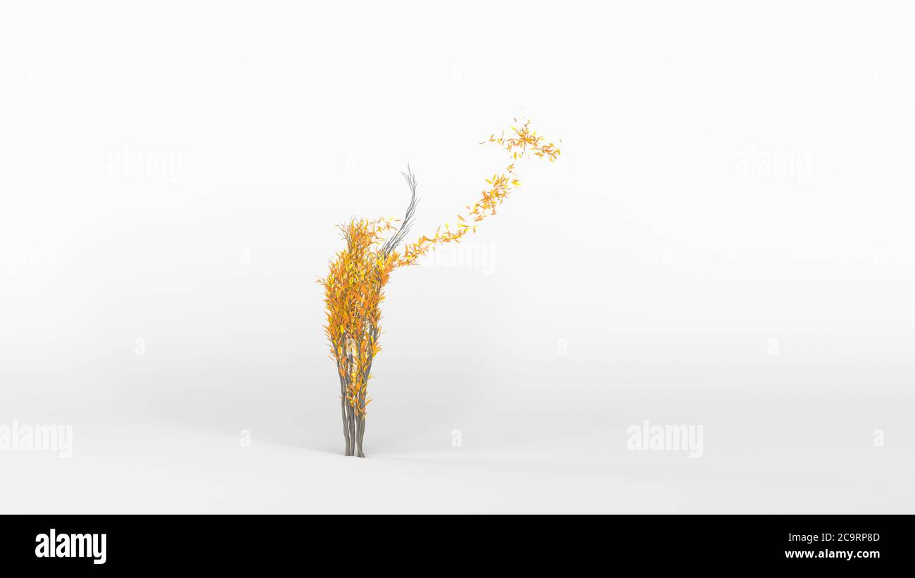 Growing Tree in a shape of a Human. Eco Concept. 3D rendering Stock ...
