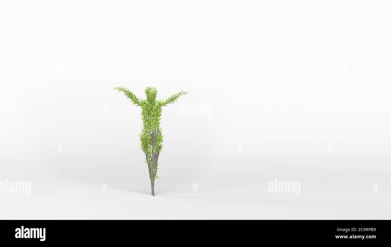 Growing Tree in a shape of a Human. Eco Concept. 3D rendering Stock ...