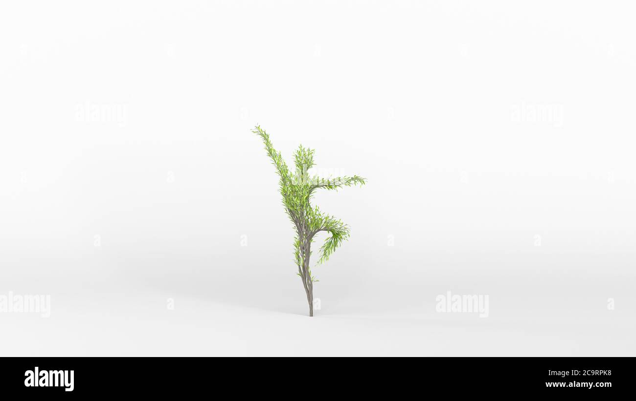 Growing Tree in a shape of a Human. Eco Concept. 3D rendering Stock ...