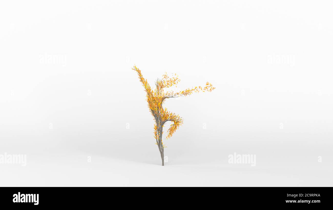 Growing Tree in a shape of a Human. Eco Concept. 3D rendering Stock ...
