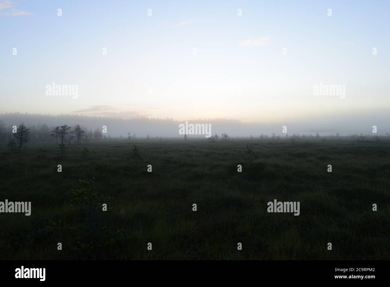 Rising forest atmosphere hi-res stock photography and images - Alamy