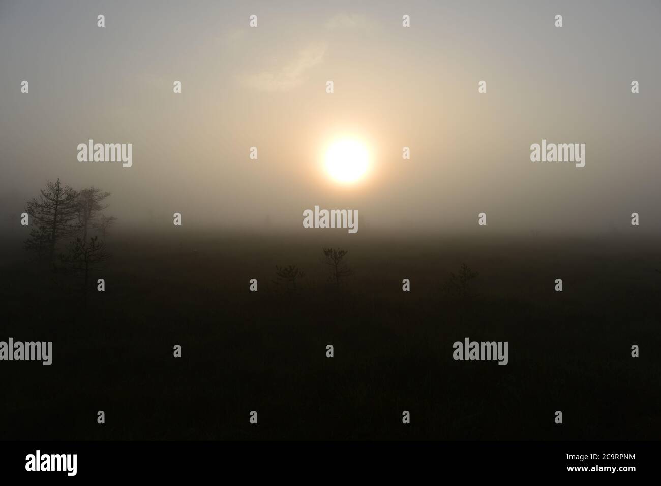 Solar circle hi-res stock photography and images - Alamy