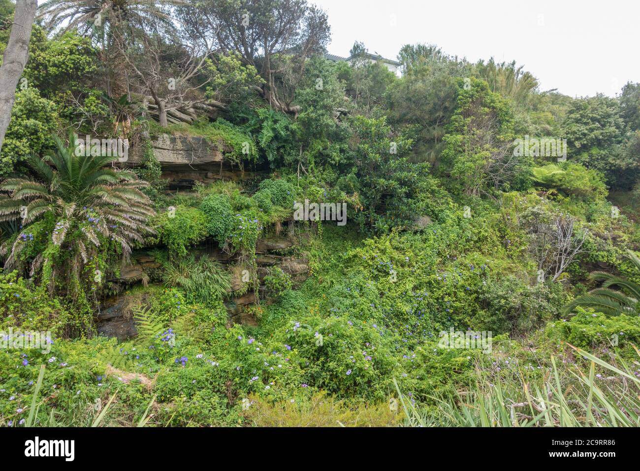 Diamond bay reserve hi-res stock photography and images - Alamy