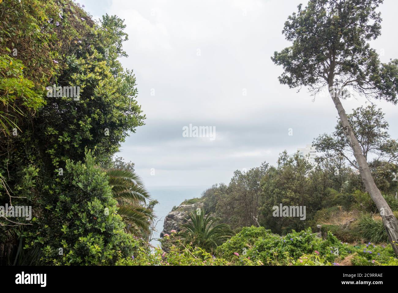 Diamond bay reserve hi-res stock photography and images - Alamy