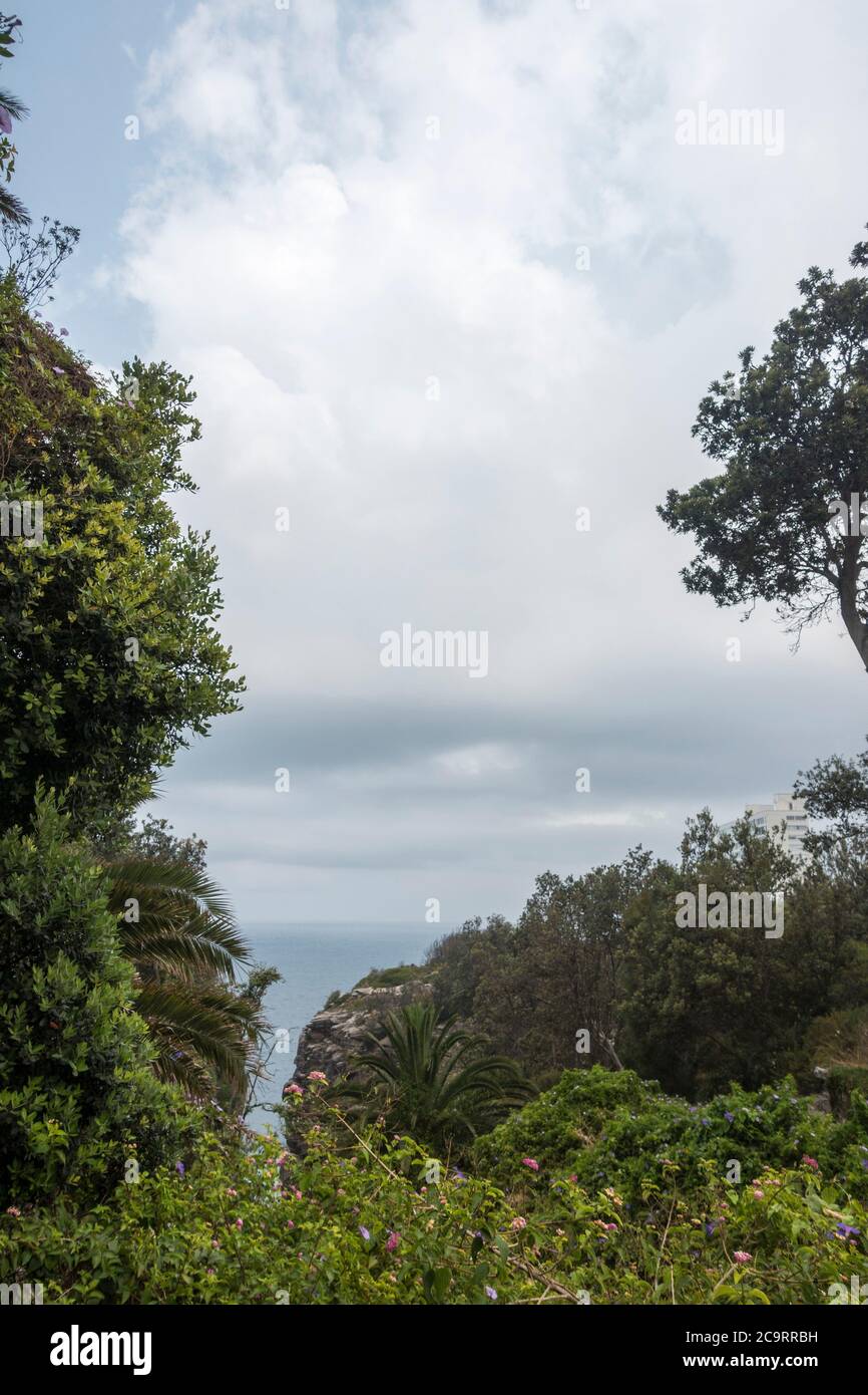Diamond bay reserve hi-res stock photography and images - Alamy