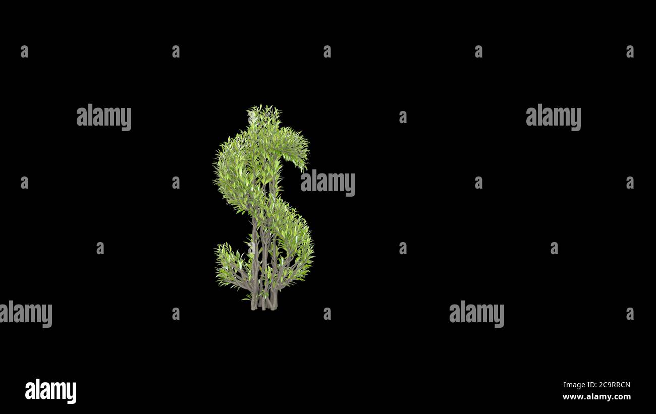 Growing Tree in a shape of a dollar sign. 3D rendering Stock Photo - Alamy