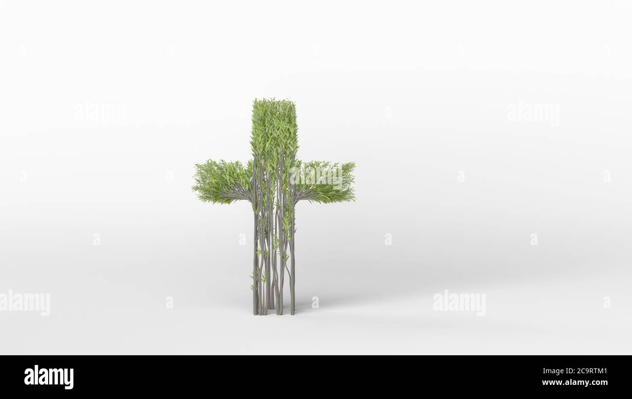 Growing Tree in a shape of a Cross. Eco Concept. 3D rendering Stock ...