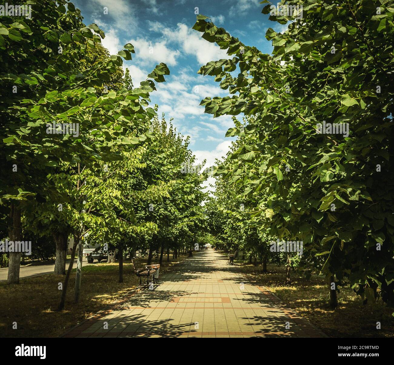 Tiled pathway hi-res stock photography and images - Alamy