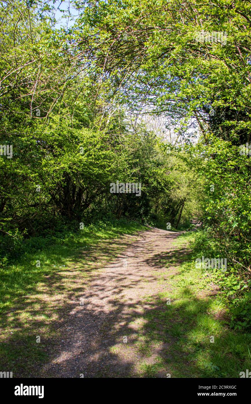 Landscape with sunlight in a natural English reserve in Dudley Stock ...